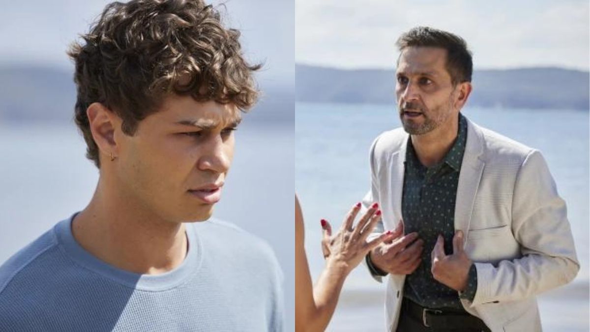 Home and Away spoilers: Theo punches Dimitri in a vicious father and ...